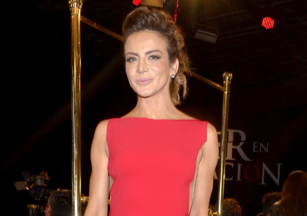Silvia Navarro presume nuevo romance con famoso actor | Shows Canal U ...