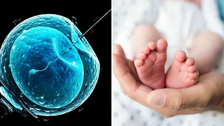 Una pareja recibe otros bebés por confusión con la fertilización in ...